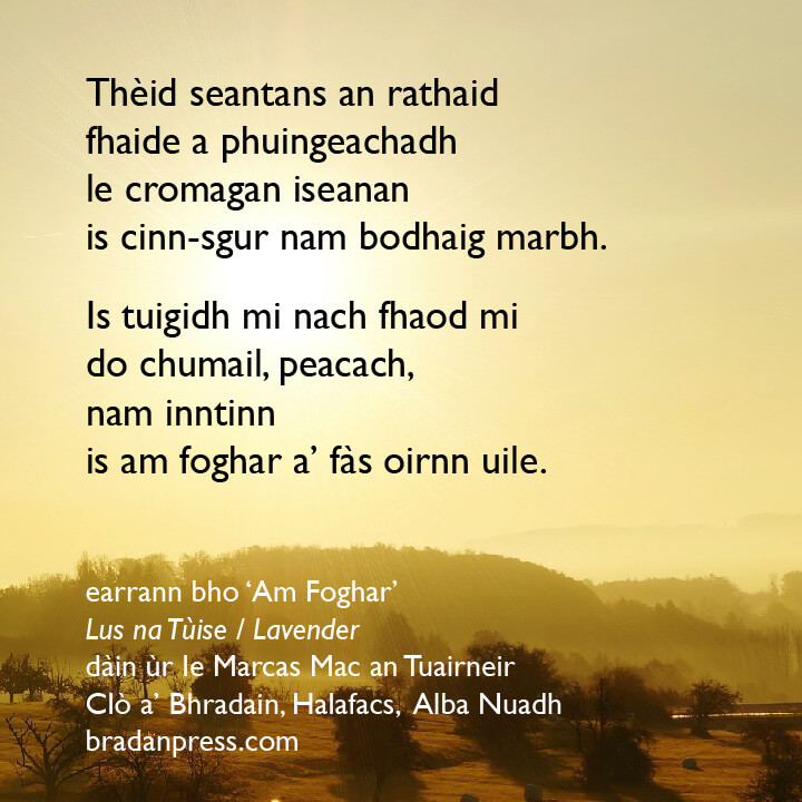 Am Foghar / Autumn | Bradan Press